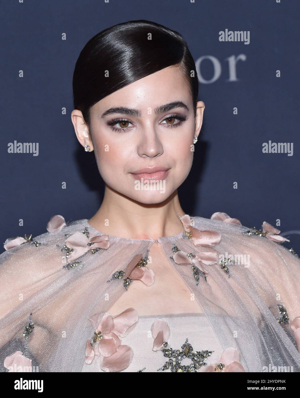 Sofia Carson attending the 2017 Princess Grace Awards Gala Stock Photo ...