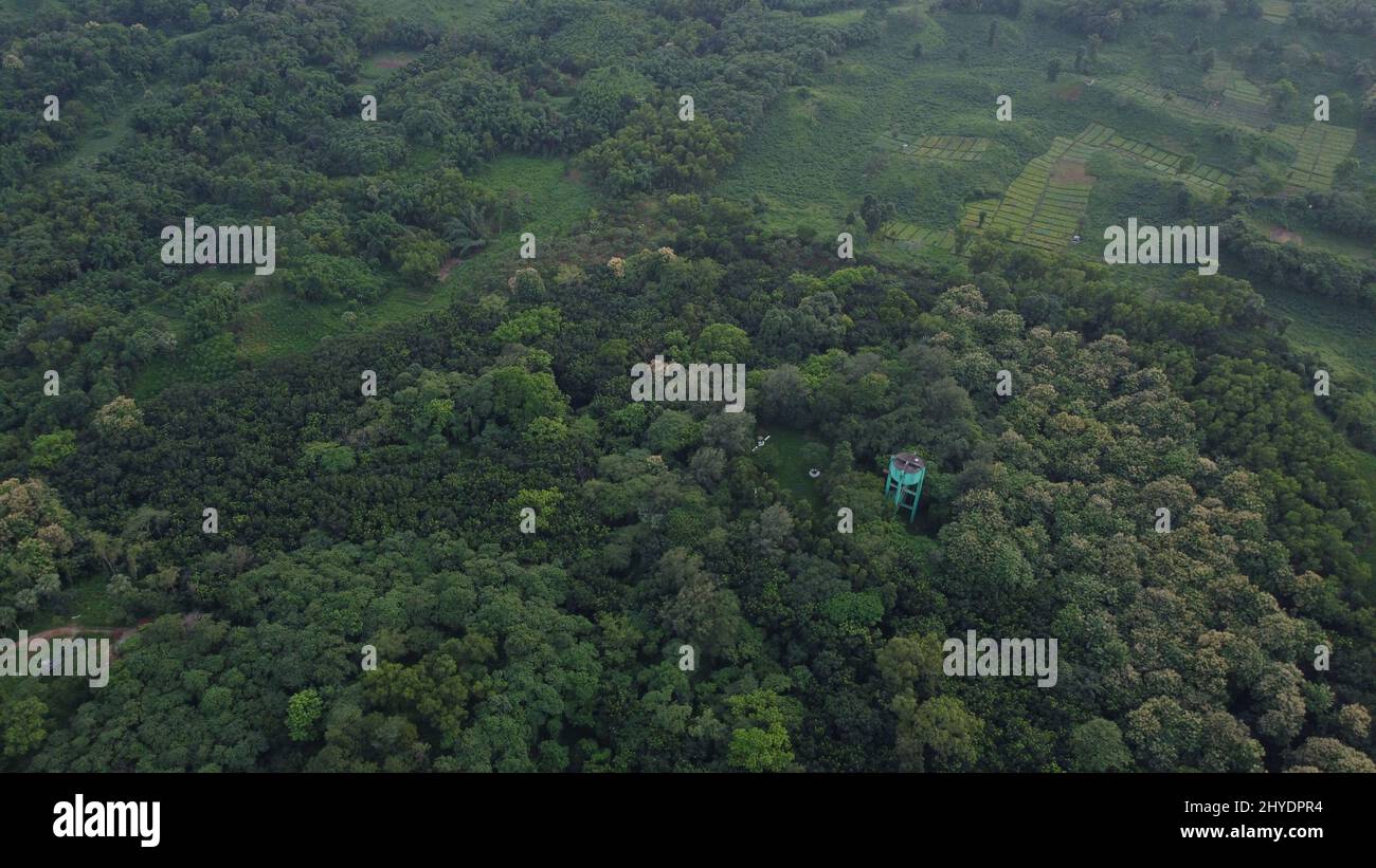 Bird's eye view of grasslands and trees Stock Photo - Alamy
