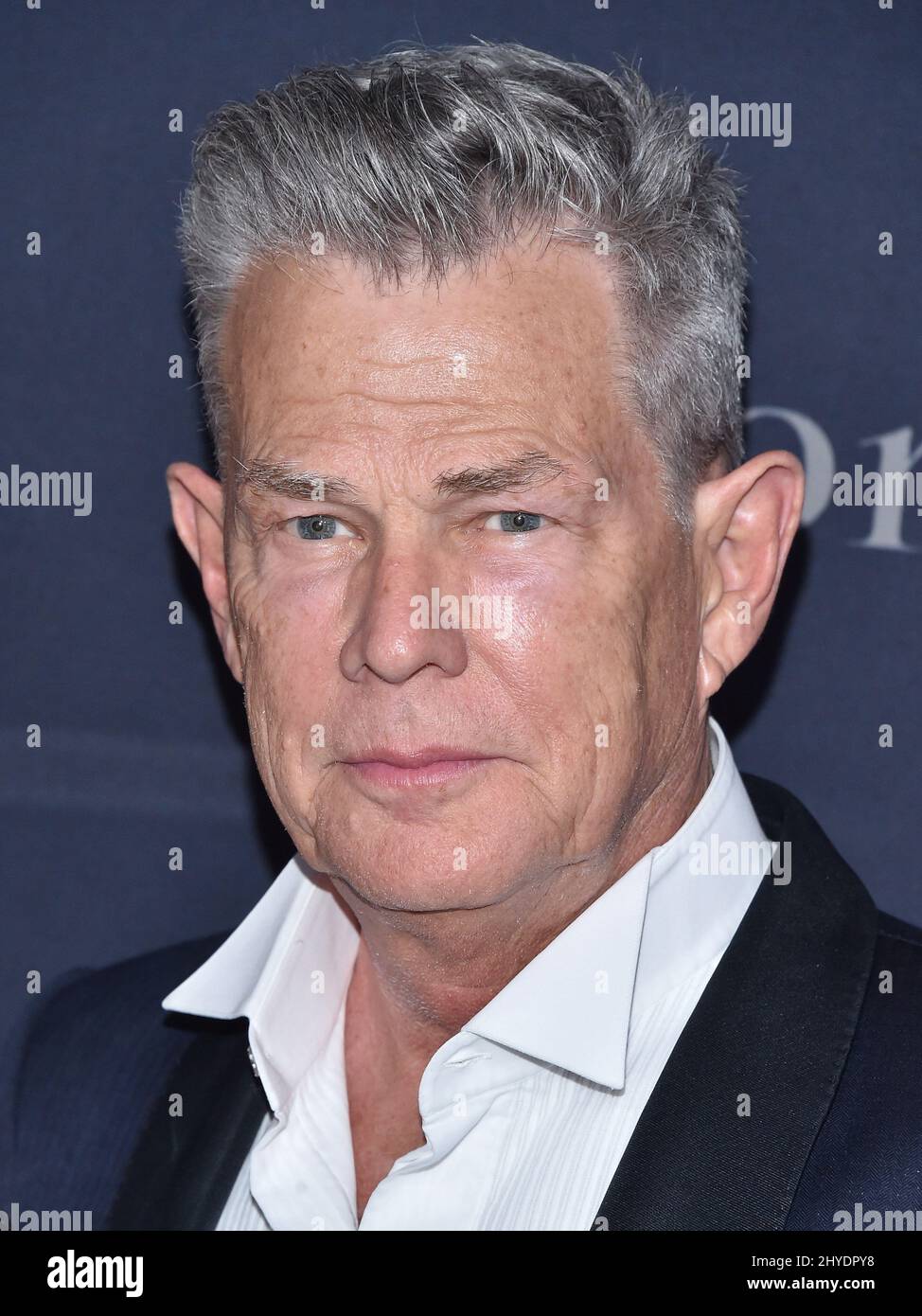 David foster hi-res stock photography and images - Alamy