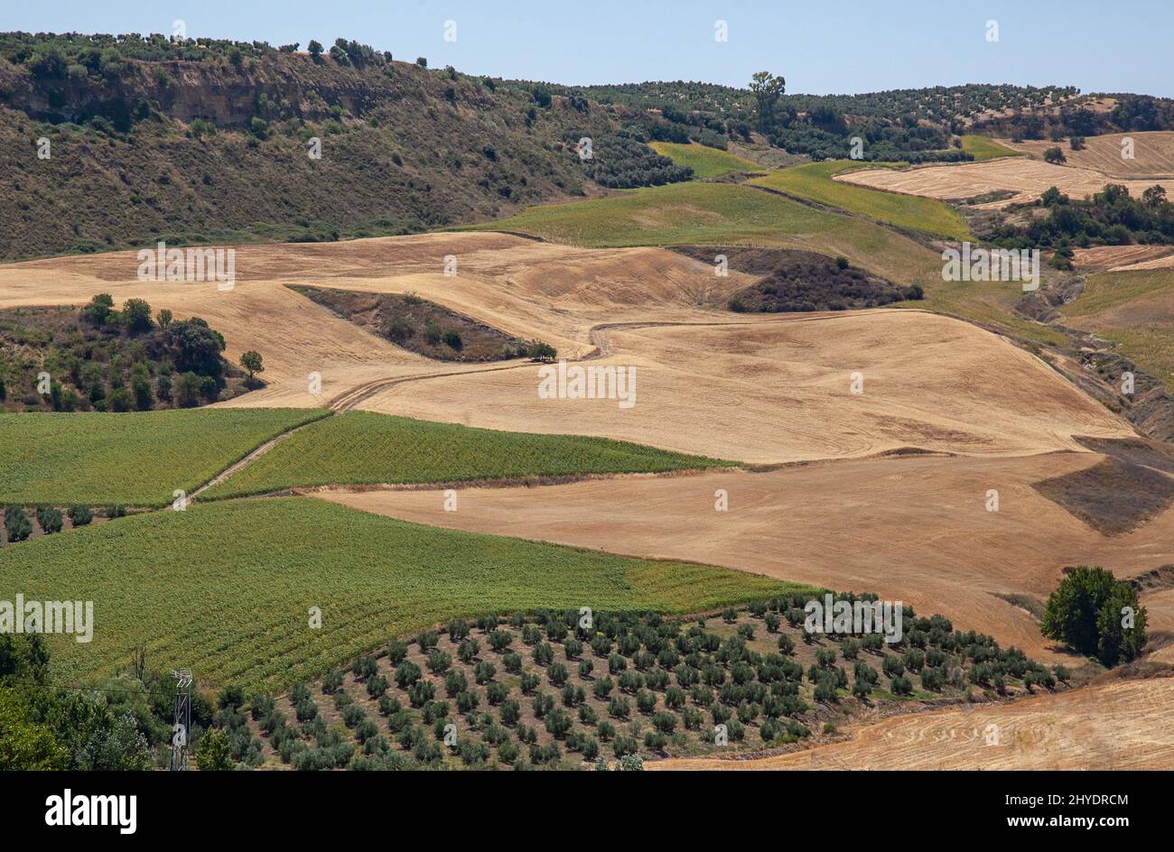 Aerial view of agricultural fields with different crops in a hilly area ...