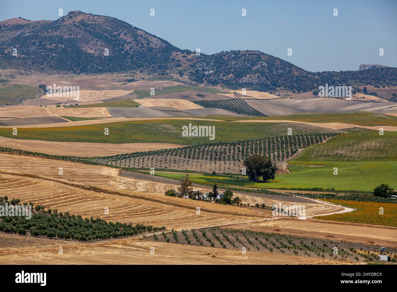 Aerial shot of agricultural fields with different crops with mountains ...