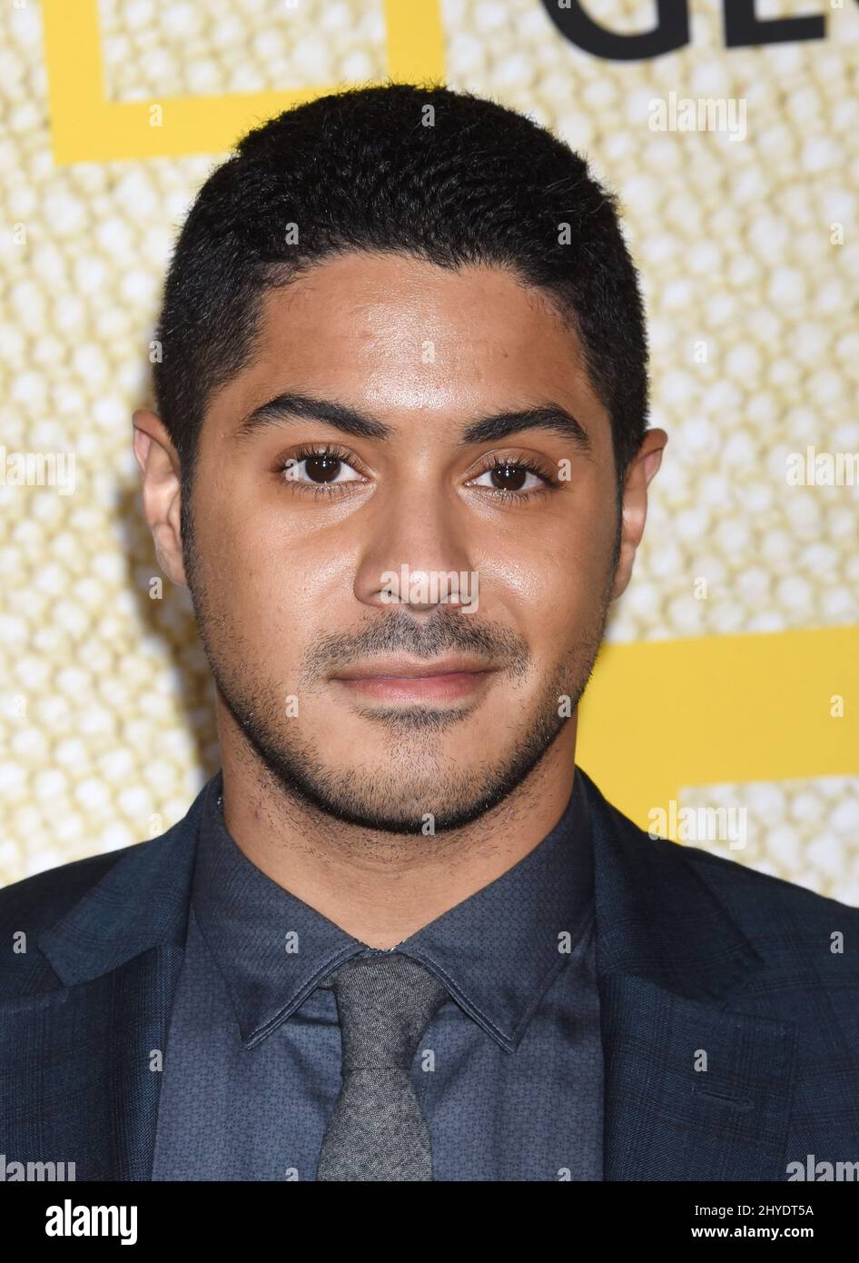 Quinlan hi-res stock photography and images - Alamy