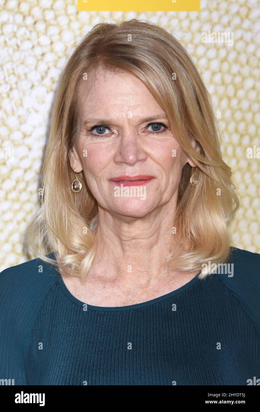 Martha Raddatz attending the premiere of The Long Road Home in Westwood ...