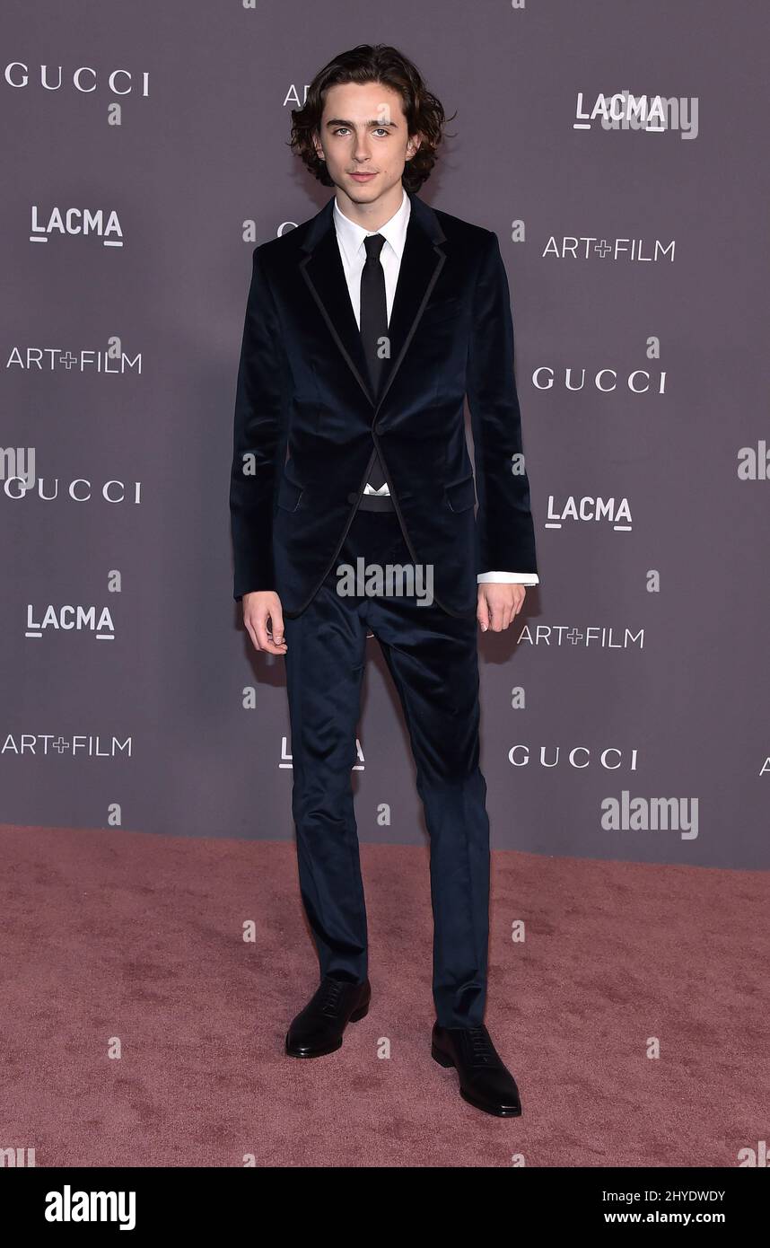Timothee Chalamet attending the 2017 LACMA Art + Film Gala honoring ...