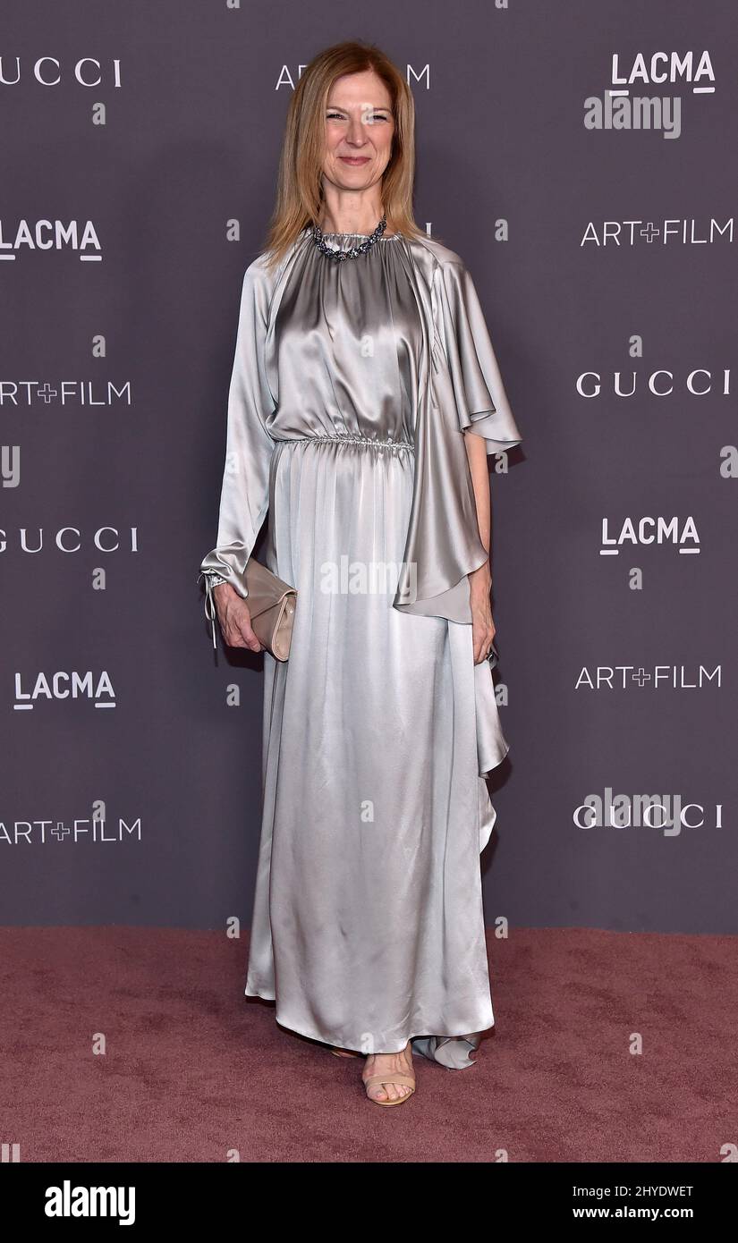 Dawn Hudson attending the 2017 LACMA Art + Film Gala honoring Mark ...