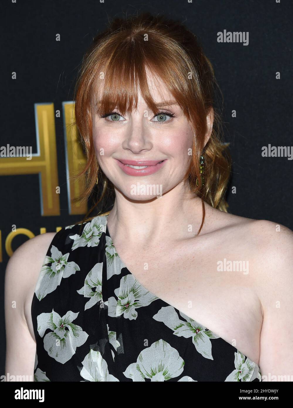 Bryce Dallas Howard attending the 21st Annual Hollywood Film Awards ...