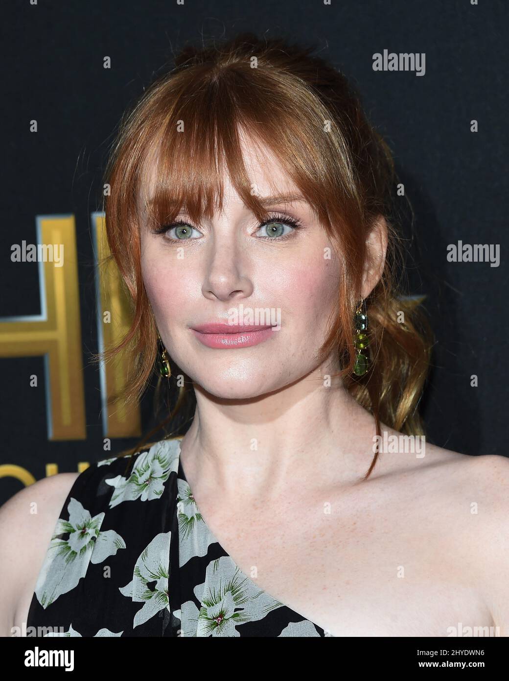 Bryce Dallas Howard attending the 21st Annual Hollywood Film Awards ...
