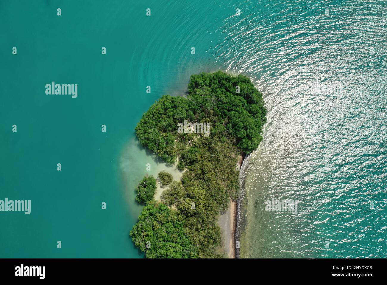 Aerial view of an ocean with green trees Stock Photo - Alamy