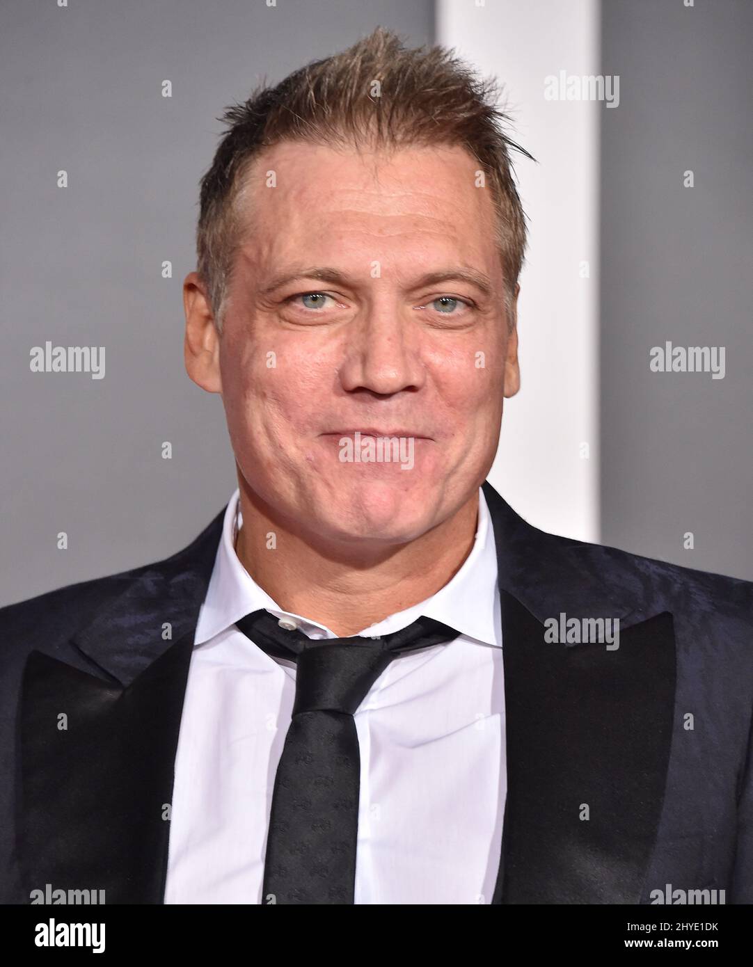 Holt McCallany attending the world premiere of Justice League held at ...