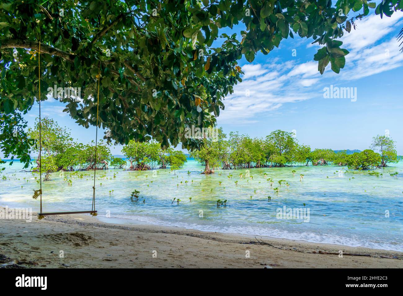 swing and the beach, Neil Island, Andaman, India Stock Photo - Alamy