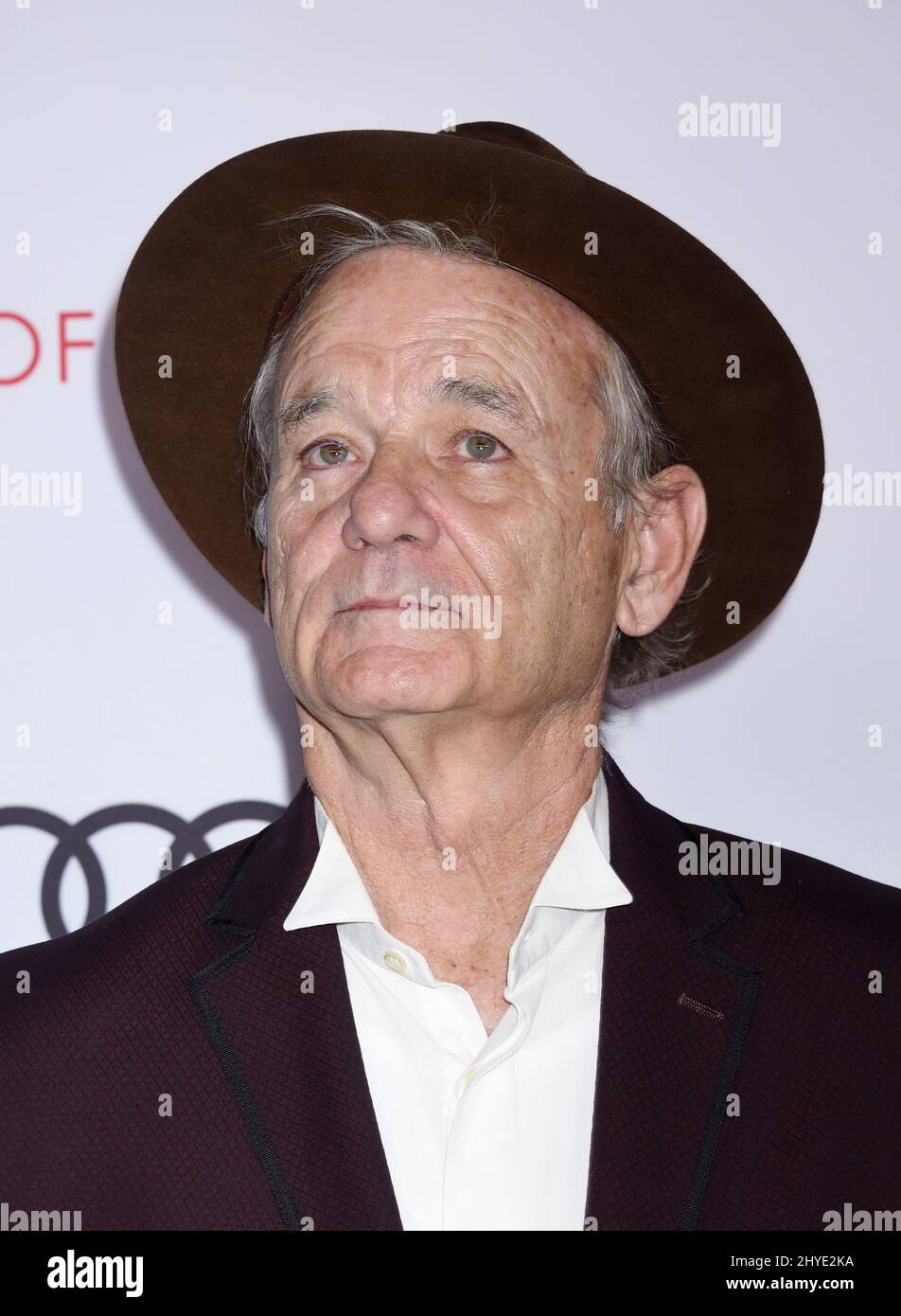Bill Murray at 24th Hall of Fame Ceremony Celebrates Television Legends ...