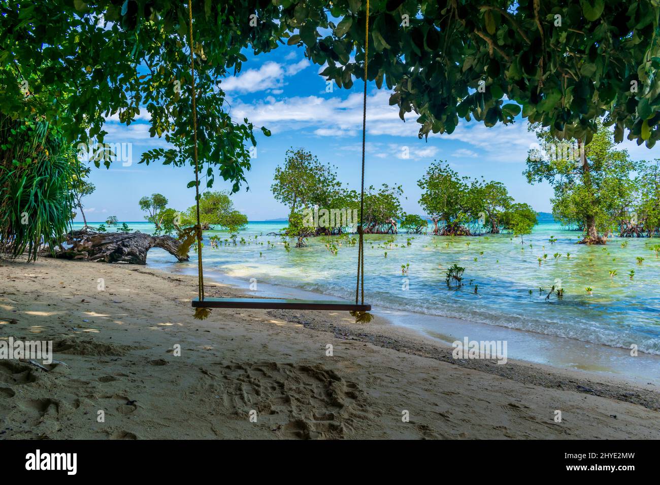 swing and the beach, Neil Island, Andaman, India Stock Photo - Alamy