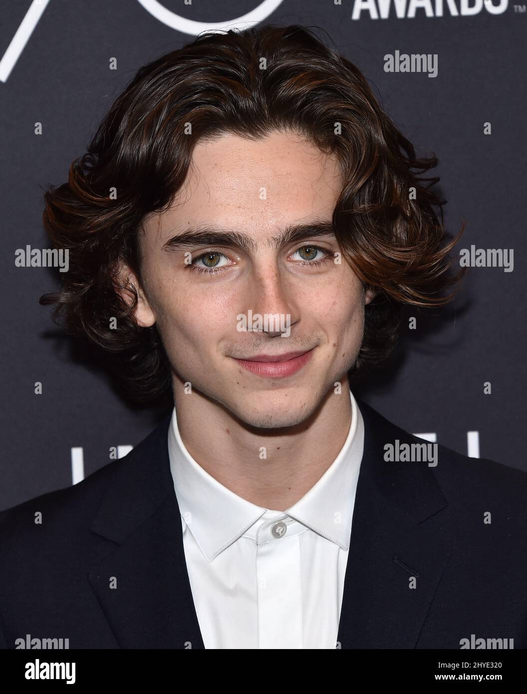 Timothee Chalamet attending the Hollywood Foreign Press Association (HFPA) and InStyle celebrate ...