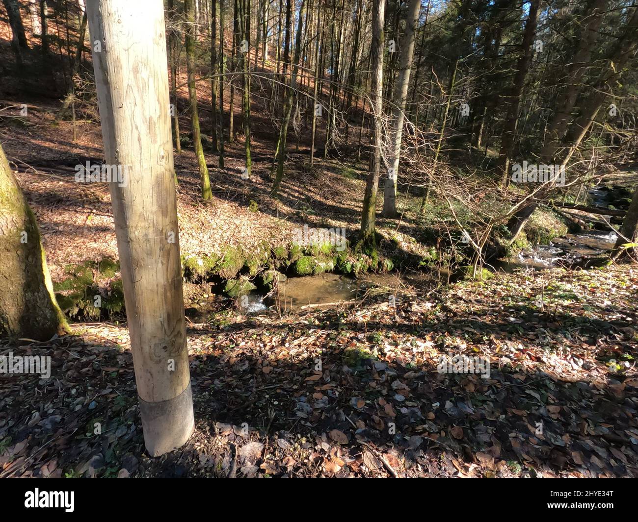 Autumn leaves in grass ramp hi-res stock photography and images - Alamy