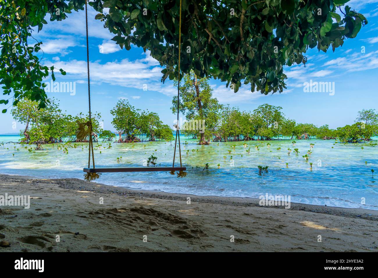 swing and the beach, Neil Island, Andaman, India Stock Photo - Alamy