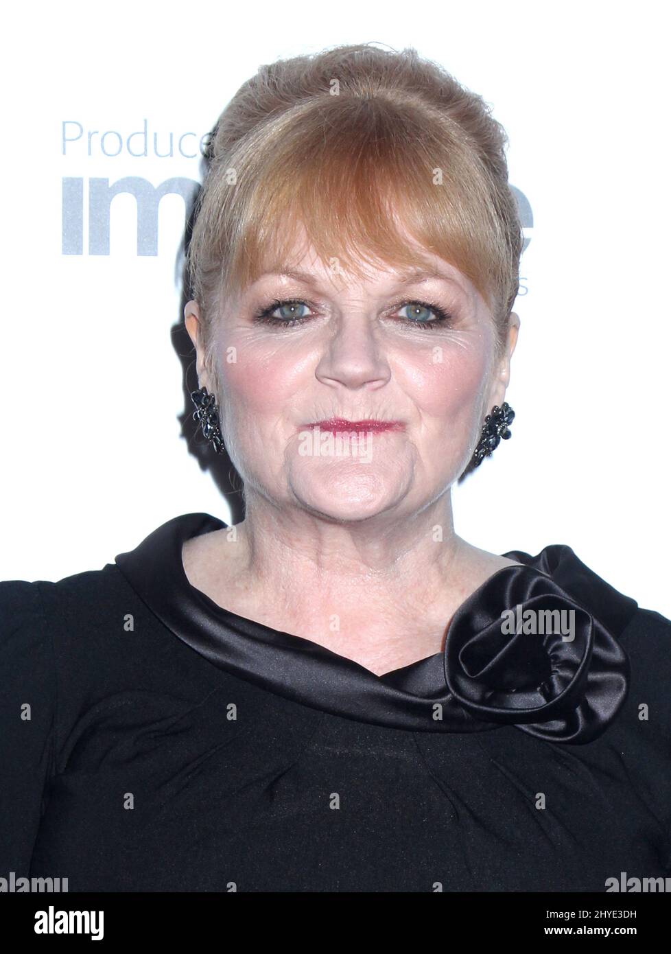 Lesley Nicol attending the Downton Abbey Exhibit Gala Held at Downton ...
