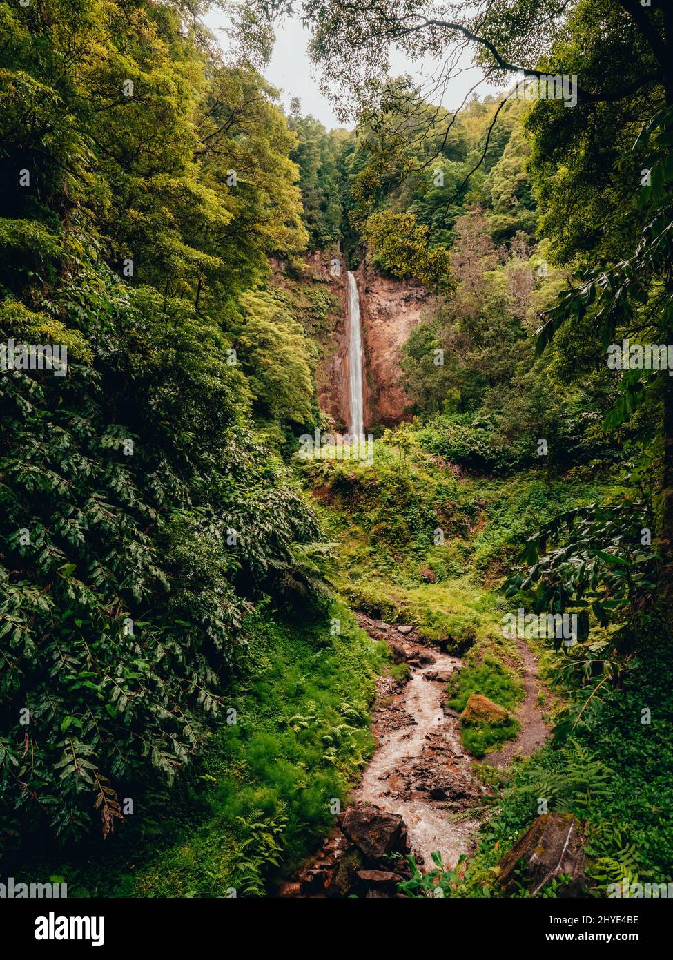 Vertical shot of a muddy path and a little waterfall on the background ...