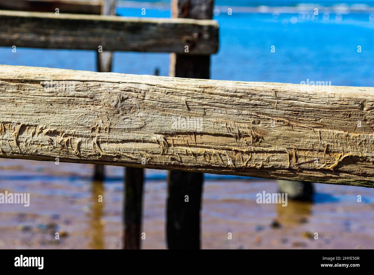 Closeup of the remains of old timber pier on the beach Stock Photo - Alamy