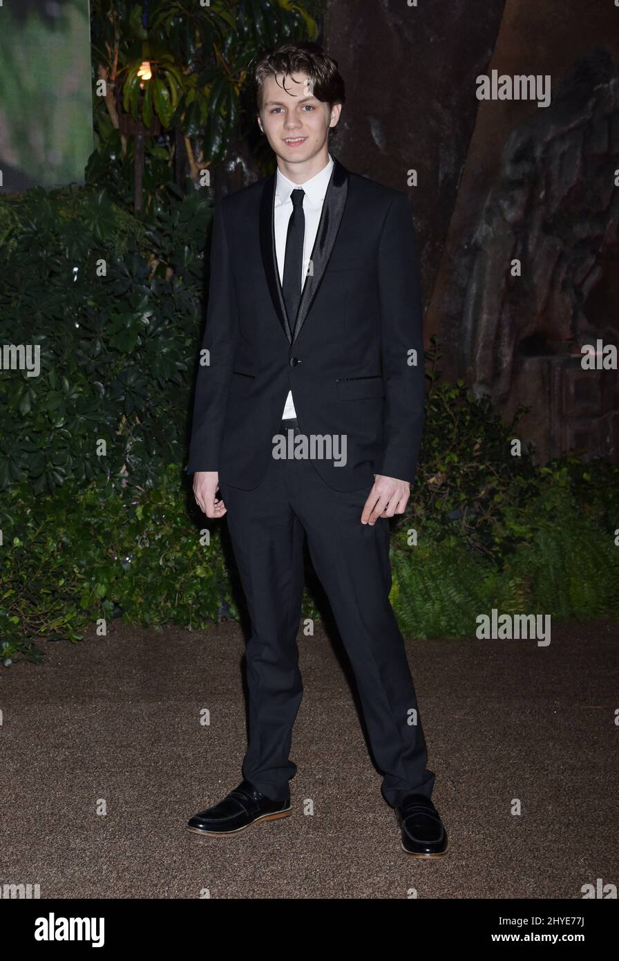Ty Simpkins attending the Jumanji: Welcome to the Jungle Premiere in ...