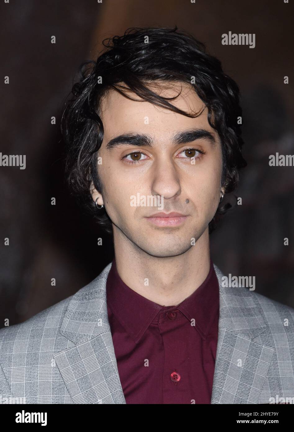 Alex Wolff attending the Jumanji: Welcome to the Jungle Premiere in Los ...