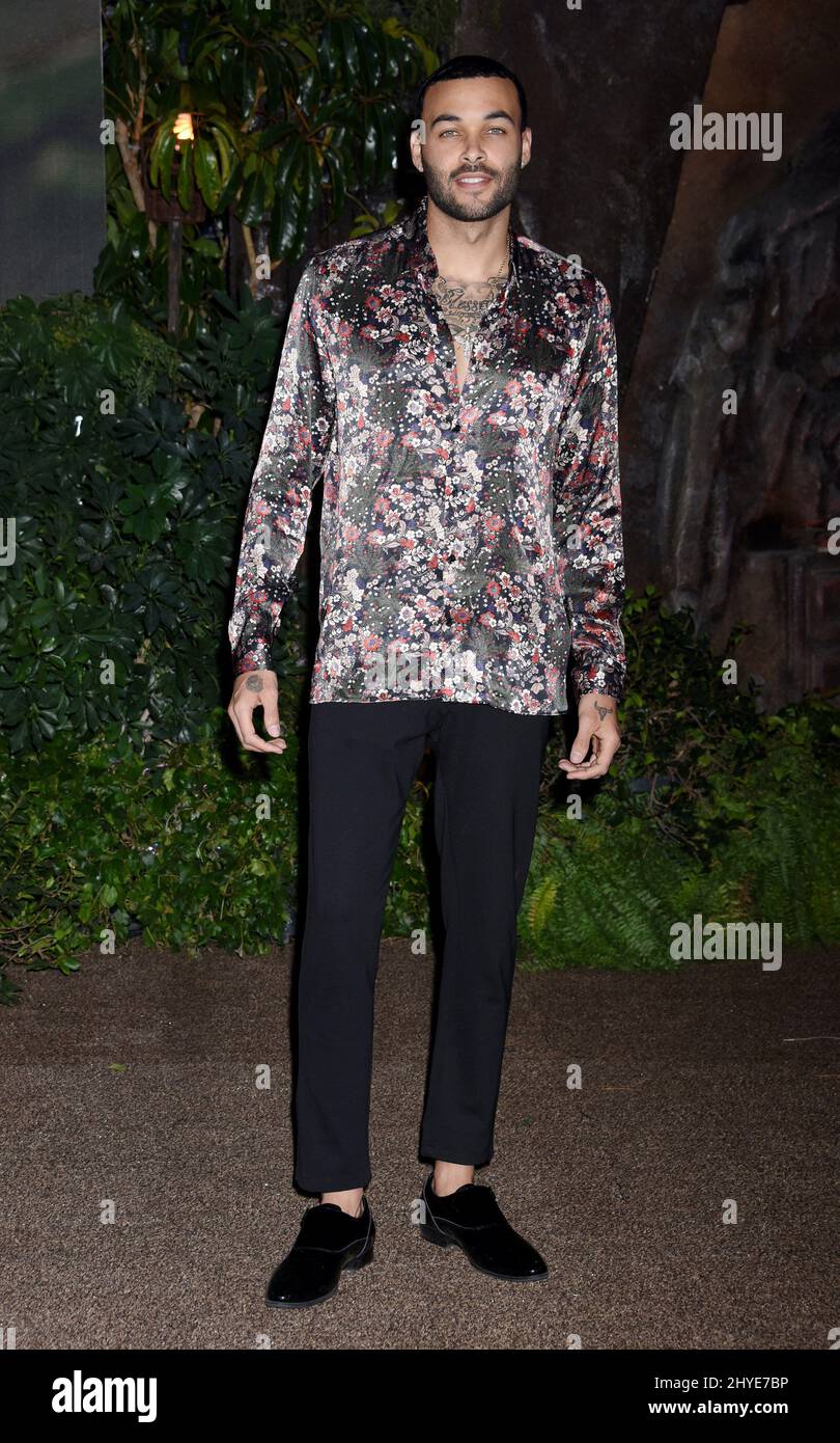 Don Benjamin attending the Jumanji: Welcome to the Jungle Premiere in ...