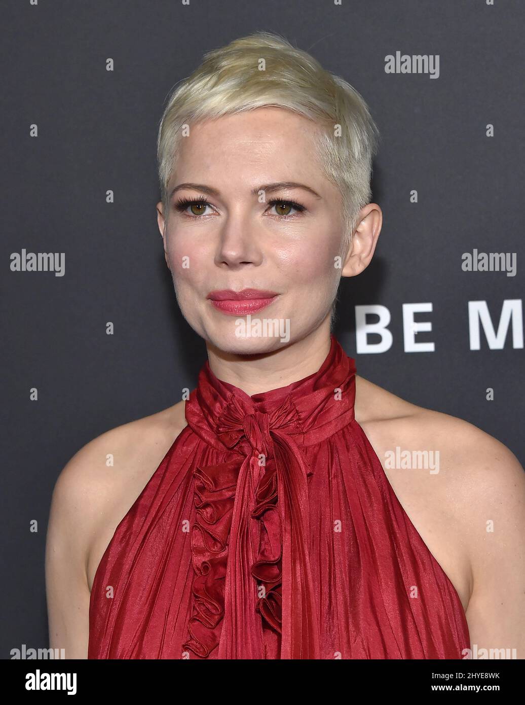 Michelle Williams attending the World premiere of All The Money In The ...