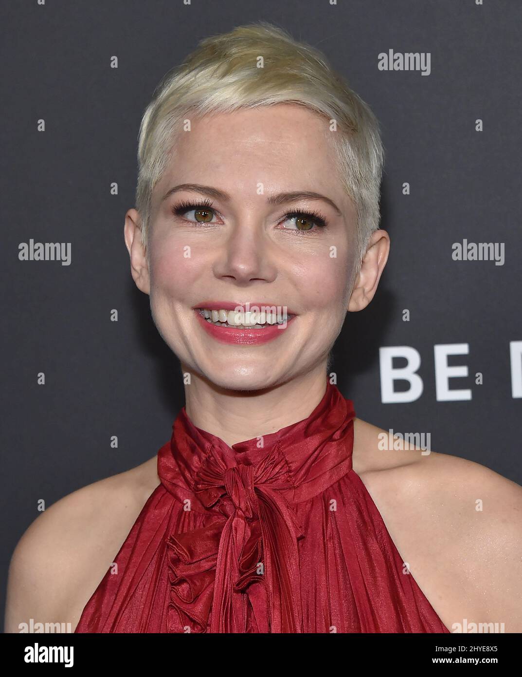 Michelle Williams attending the World premiere of All The Money In The ...