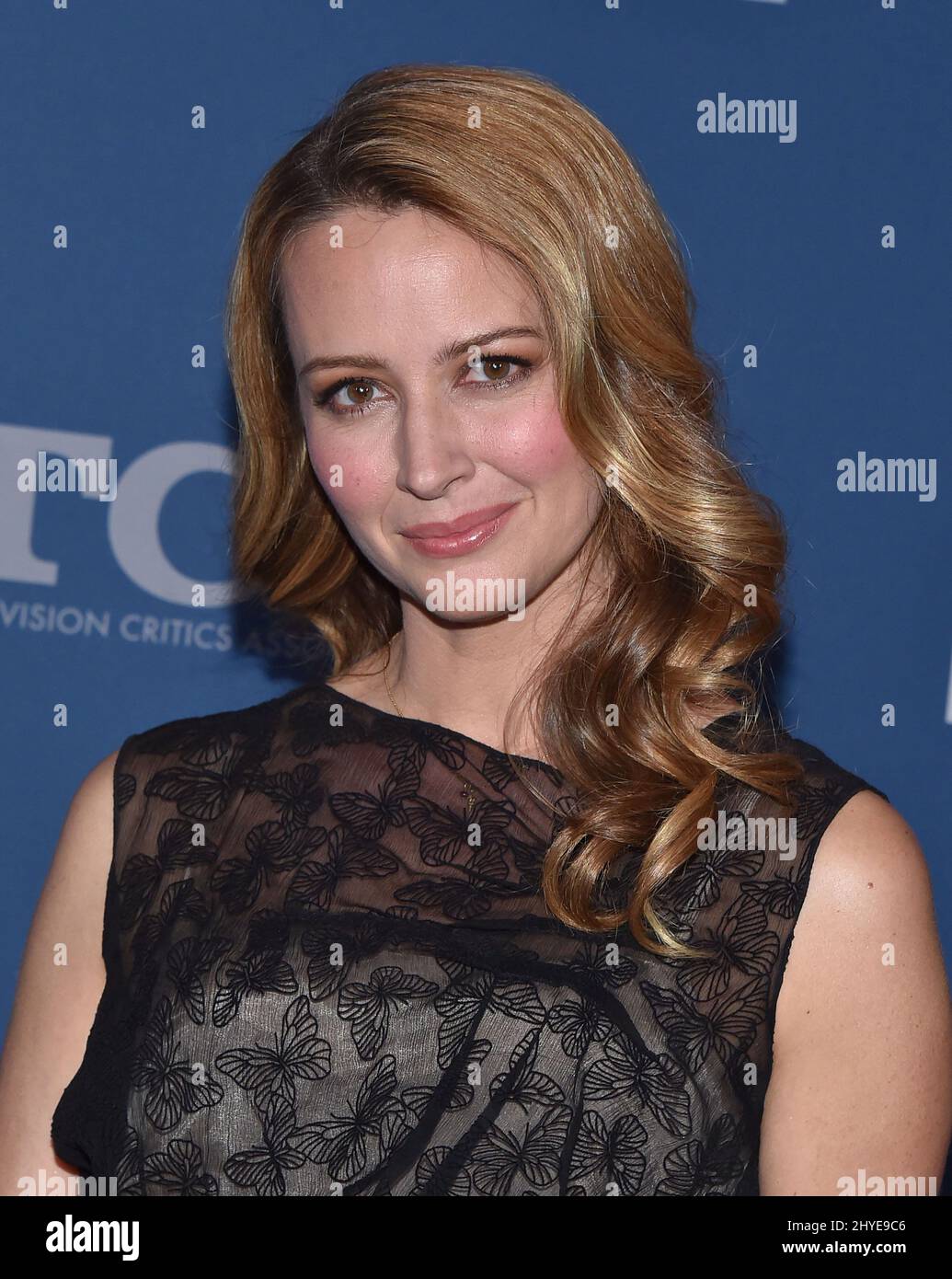Amy Acker attending the FOX Winter TCA 2018 in Pasadena, Los Angeles ...