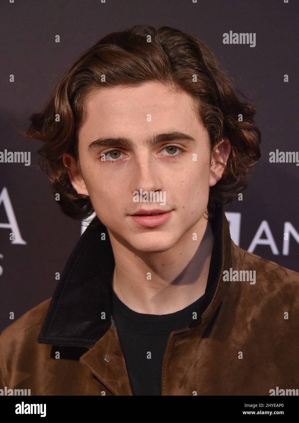 Timothee Chalamet at the BAFTA Los Angeles Tea Party 2018 event at Four ...