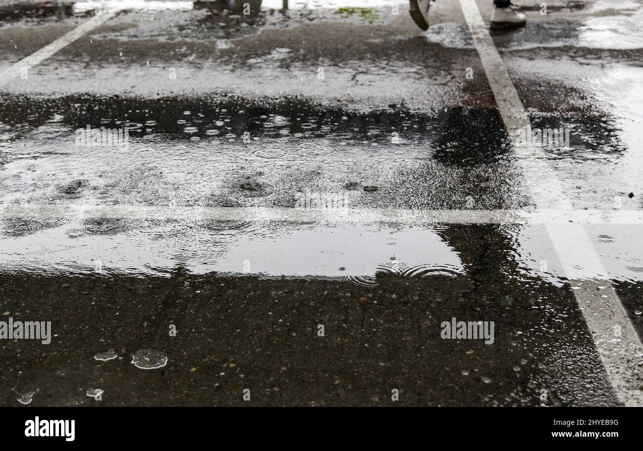 Raindrops on the street, bad weather and storm, humidity Stock Photo ...