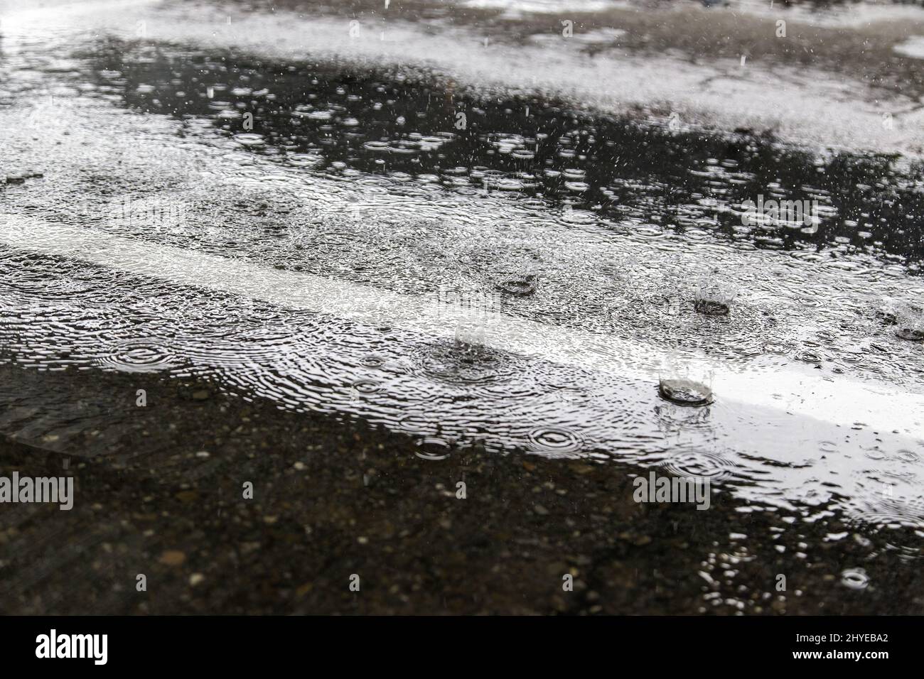 Raindrops on the street, bad weather and storm, humidity Stock Photo ...