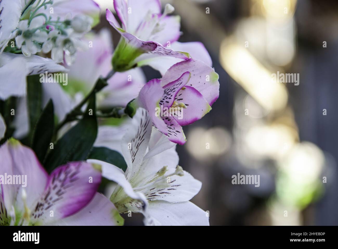 Bouquets of varied flowers celebration and event, nature Stock Photo ...