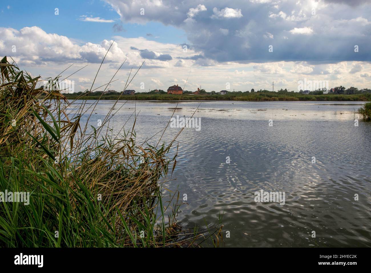 Rural landscape with the shore of the river and reed Stock Photo - Alamy