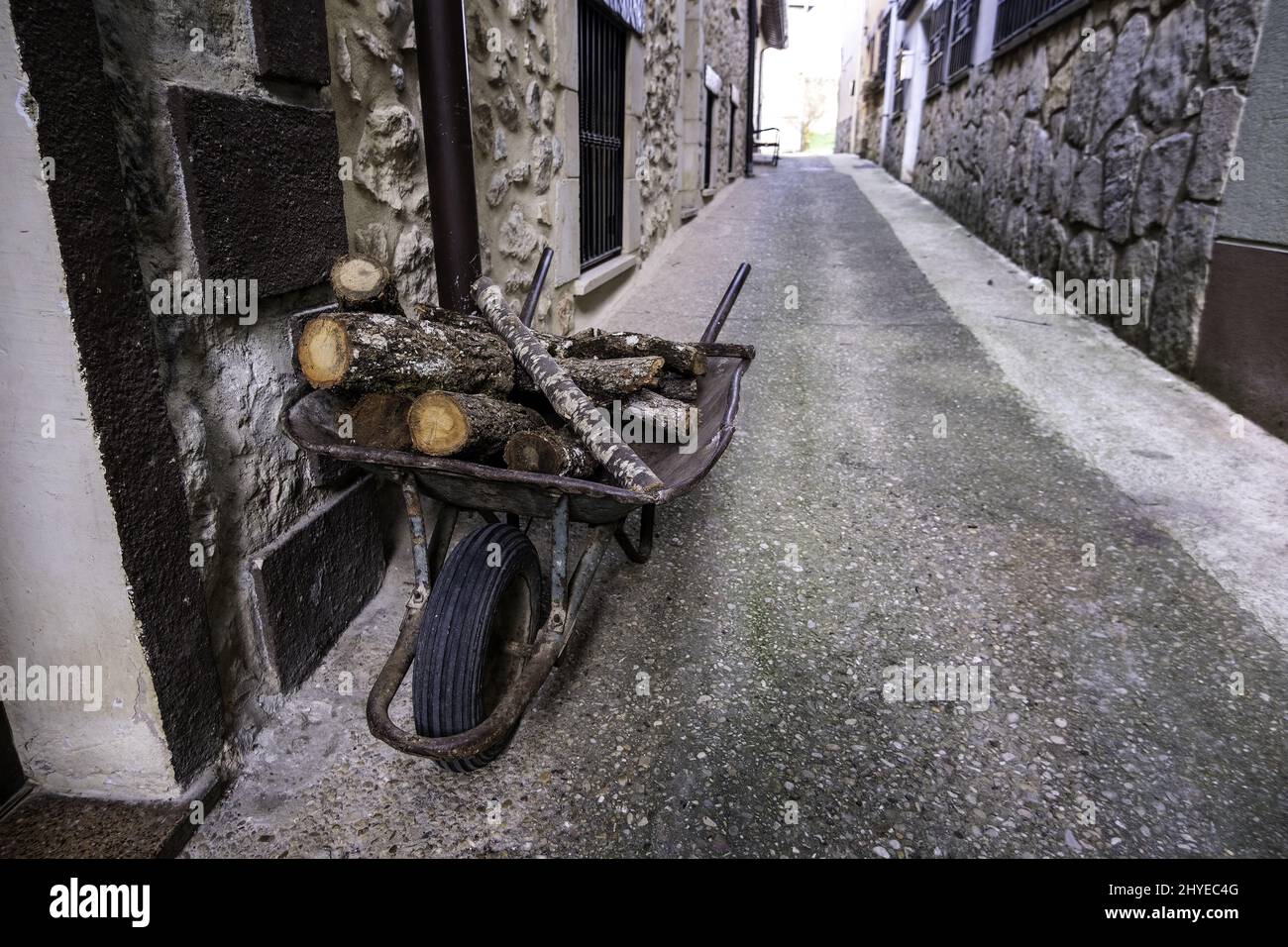 Wood logs for fuel, ecological natural gas, environment Stock Photo - Alamy