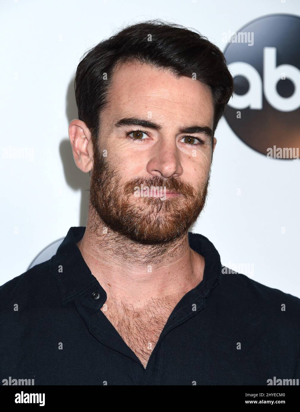 Ben Lawson at the ABC Winter TCA Press Tour 2018 red carpet held at the ...