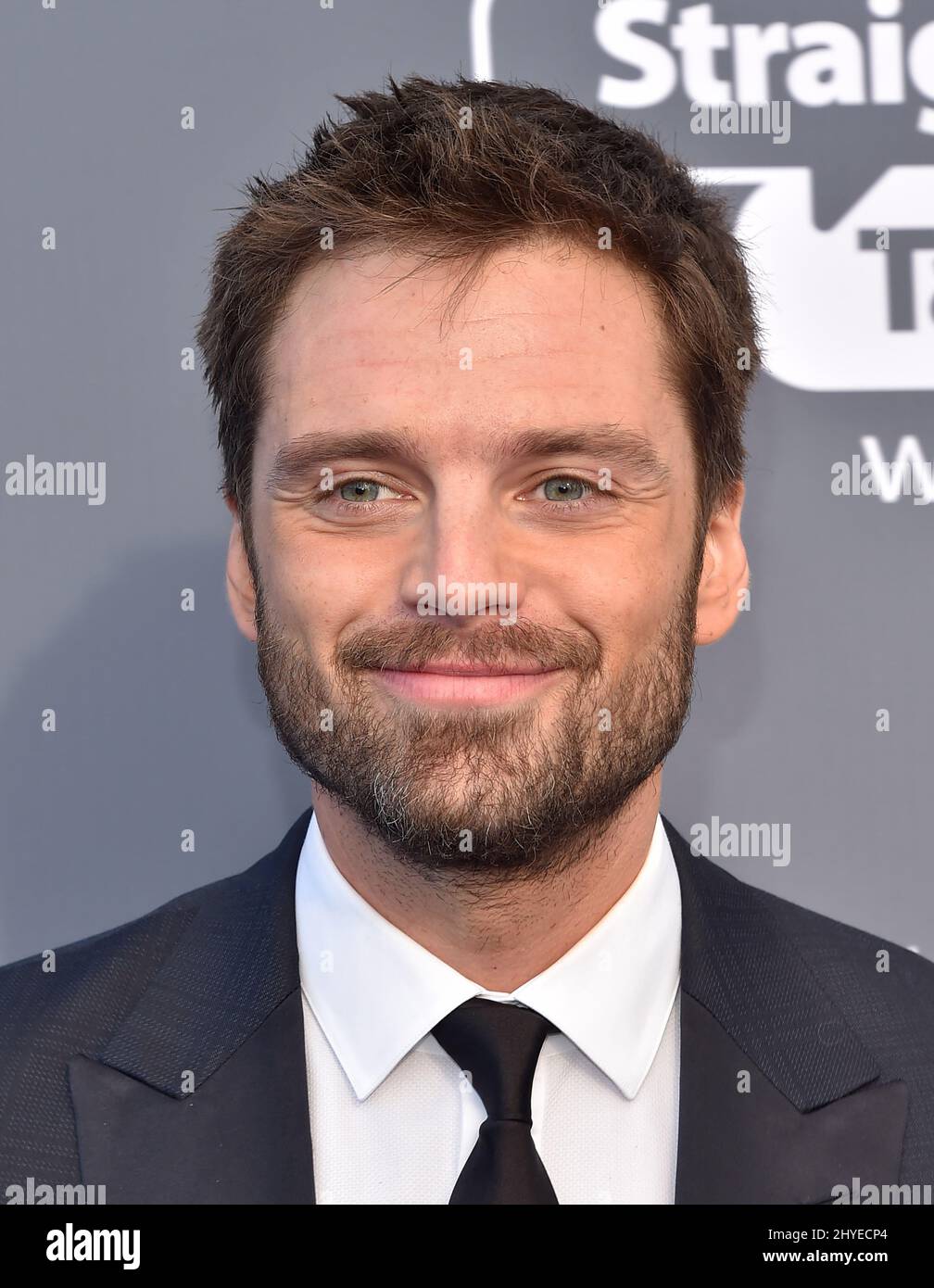 Sebastian Stan at the 23rd Annual Critics' Choice Awards event at ...