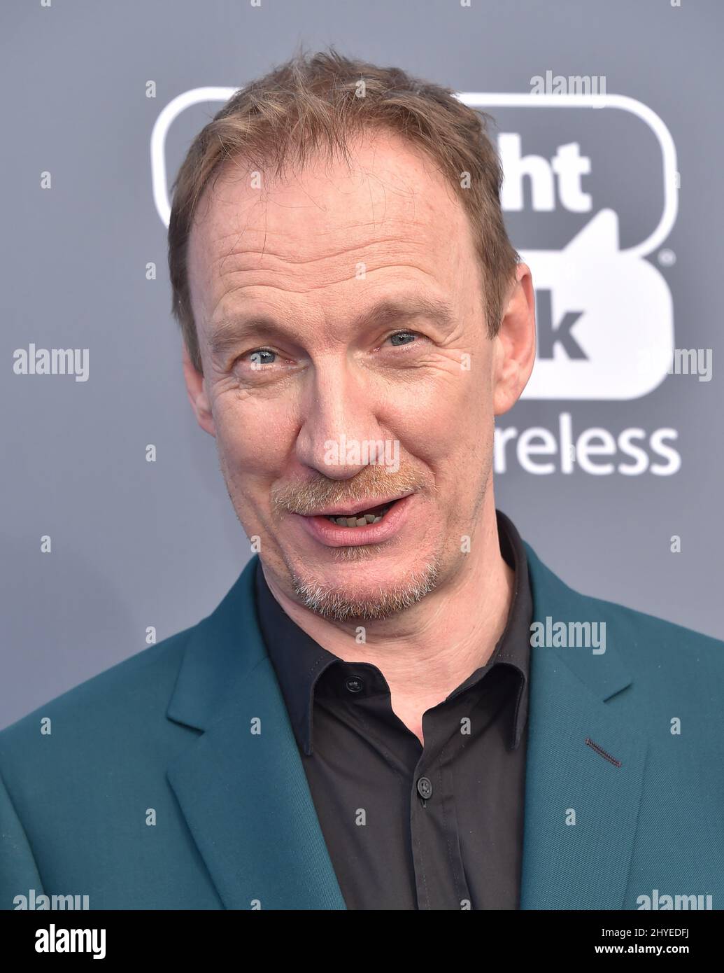 David Thewlis at the 23rd Annual Critics' Choice Awards event at Barker ...