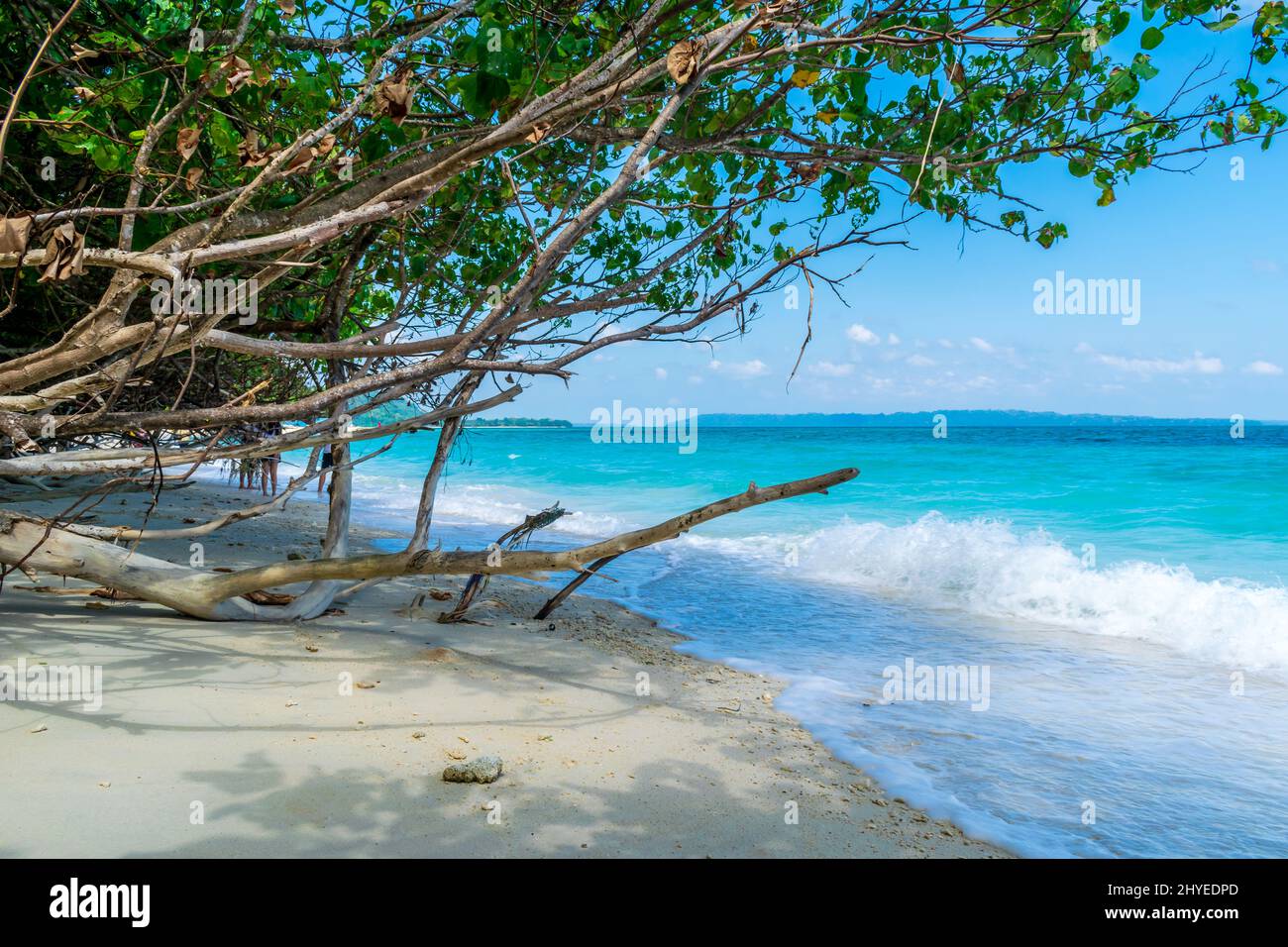 Waves at Kalapathar Beach, Havelock Island, Andaman, India Stock Photo ...