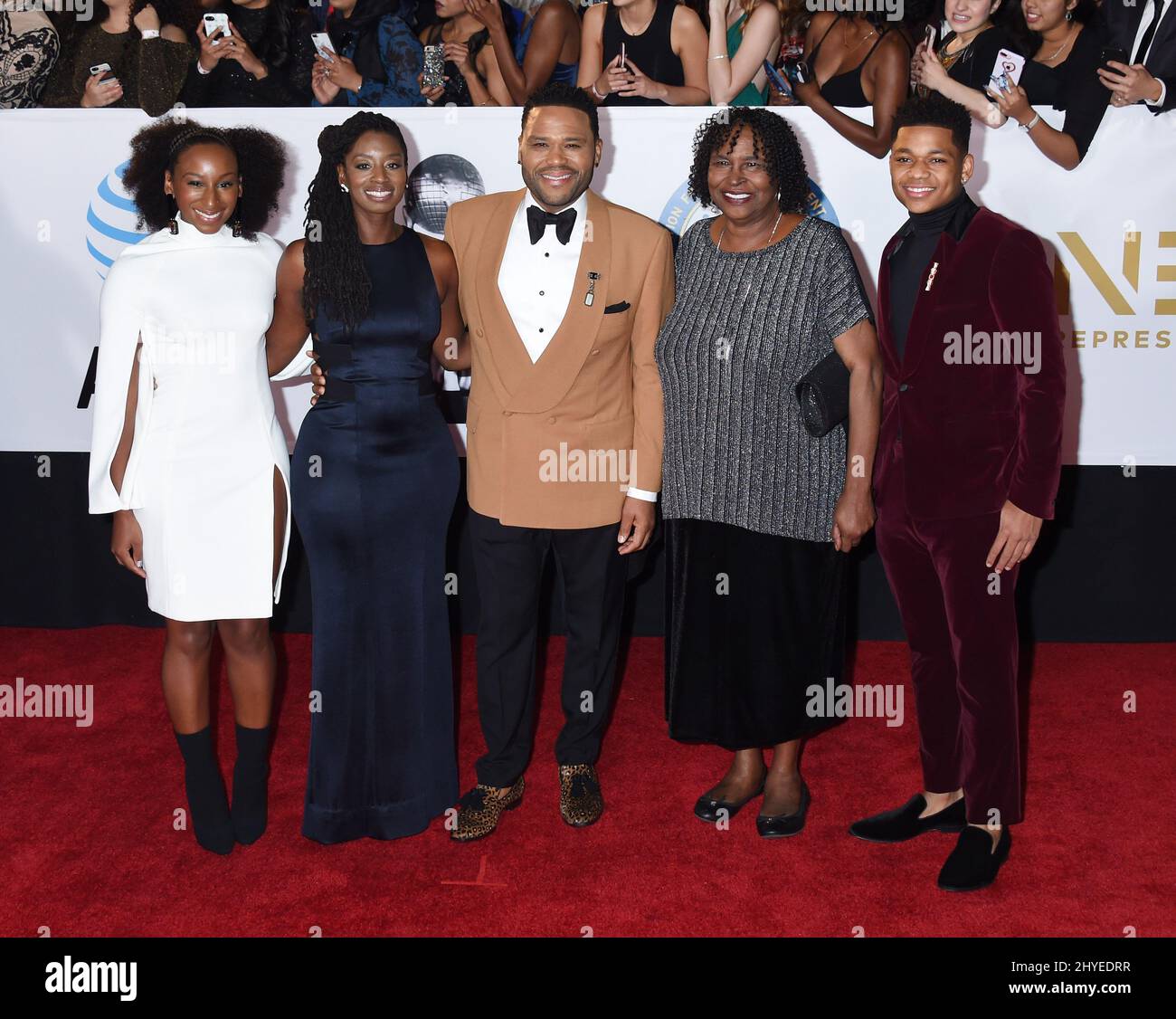 Nathan Anderson Protozoa