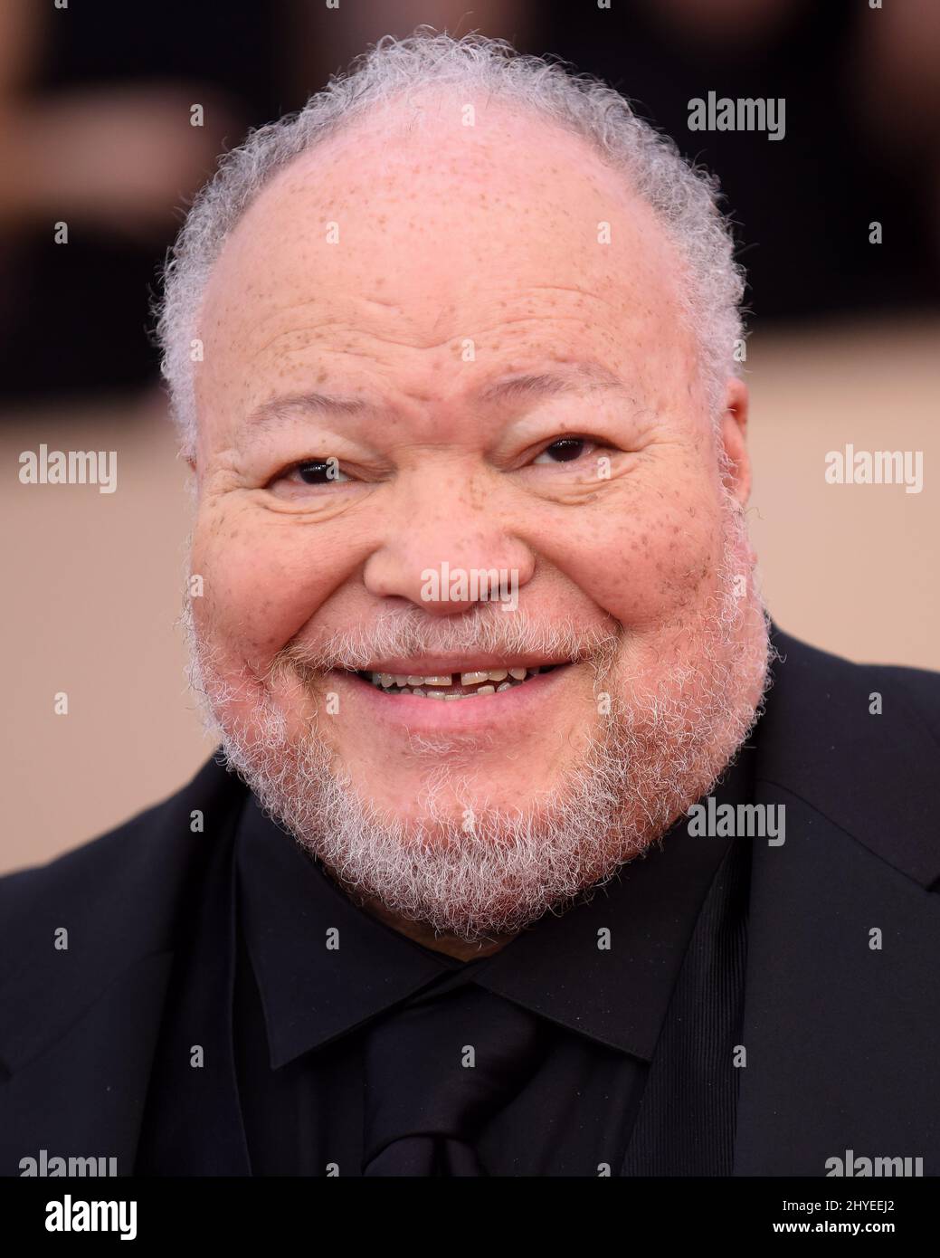 Stephen Henderson attending the 24th Annual Screen Actors Guild Awards ...