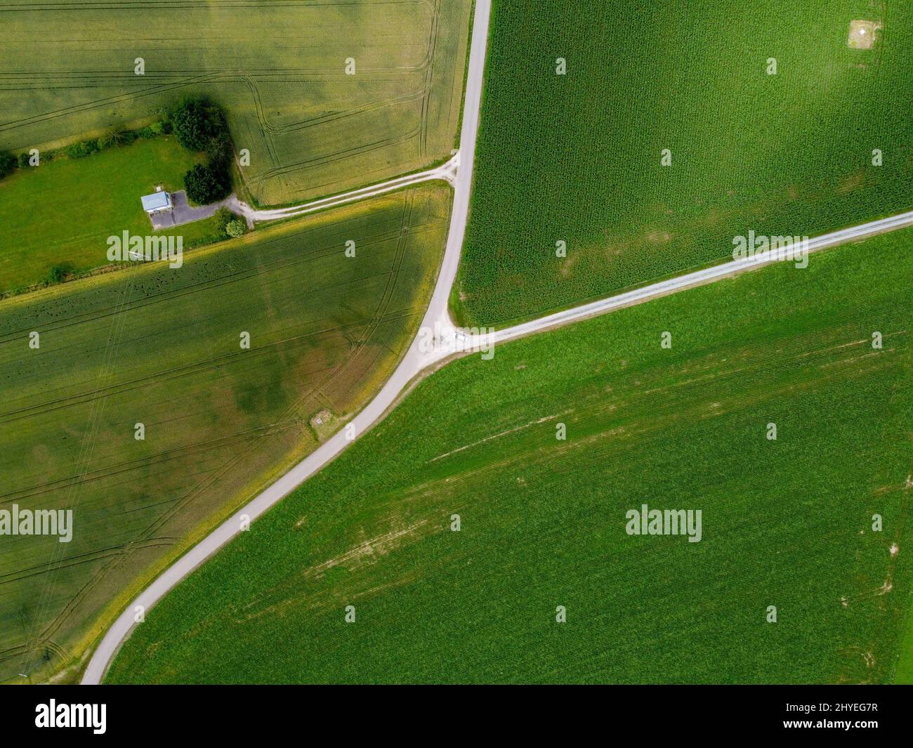 Top view of green farm lands Stock Photo - Alamy