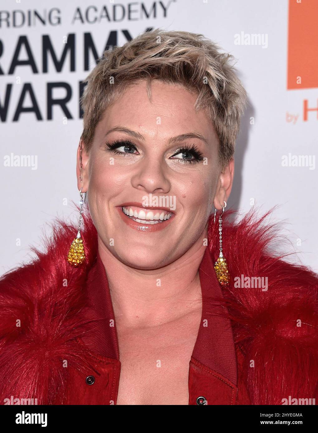 Pink at the 2018 Pre-Grammy Gala and Salute To Industry Icons held at ...
