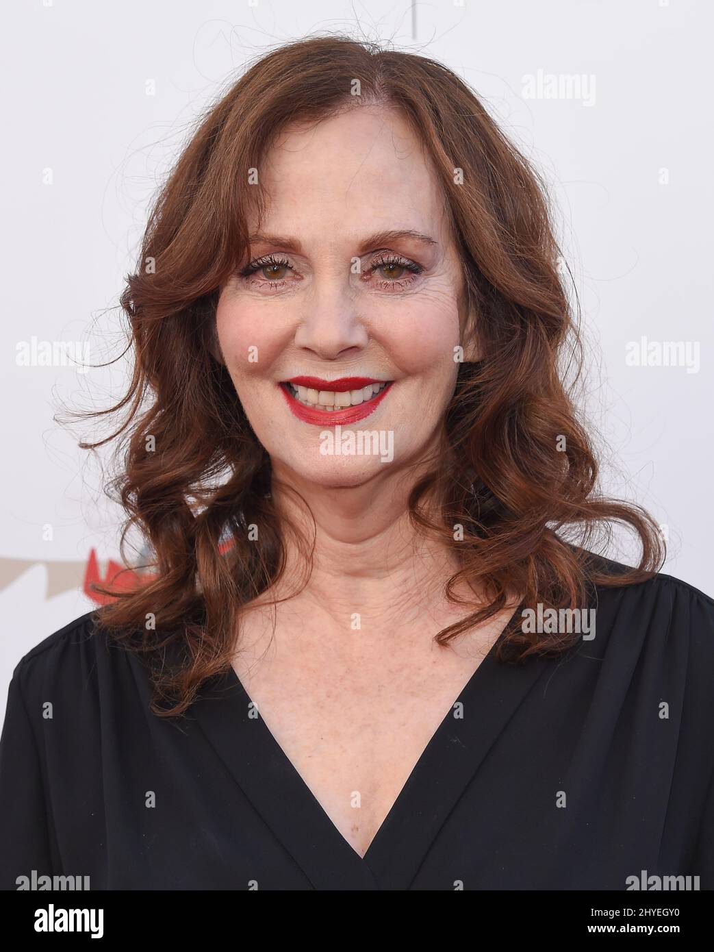 Lesley Ann Warren Measurements