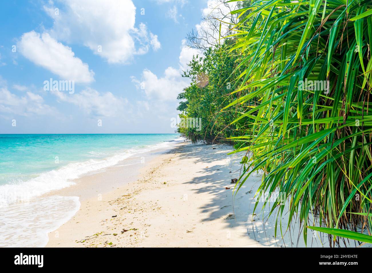 Shades on the beach, Kalapathar Beach, Havelock Island, Andaman, India ...