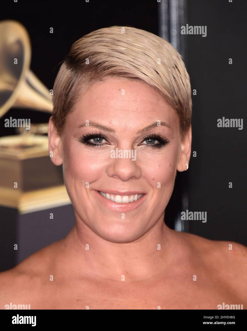 Pink at the 60th Annual GRAMMY Awards held at Madison Square Garden on ...