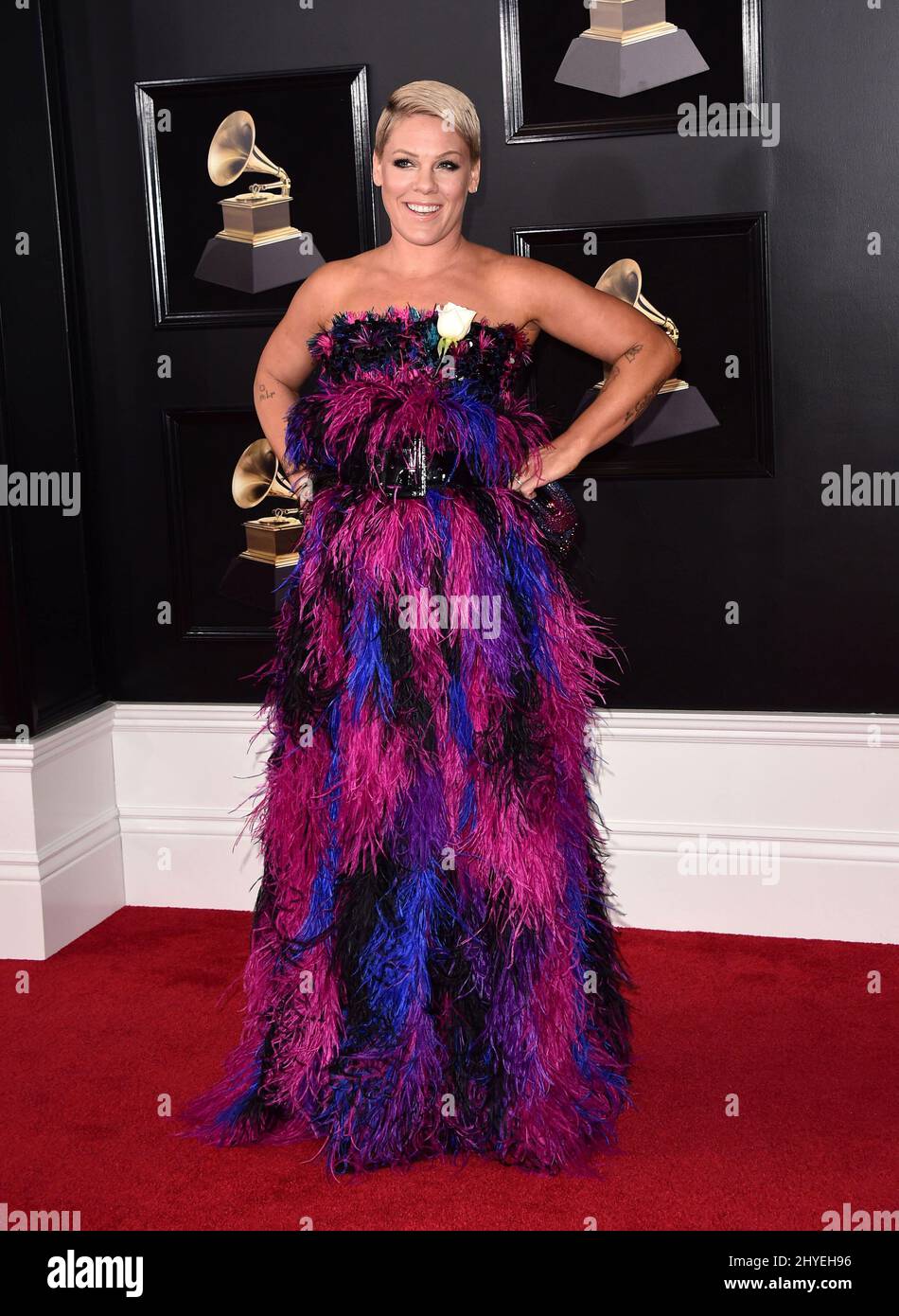 Pink at the 60th Annual GRAMMY Awards held at Madison Square Garden on ...