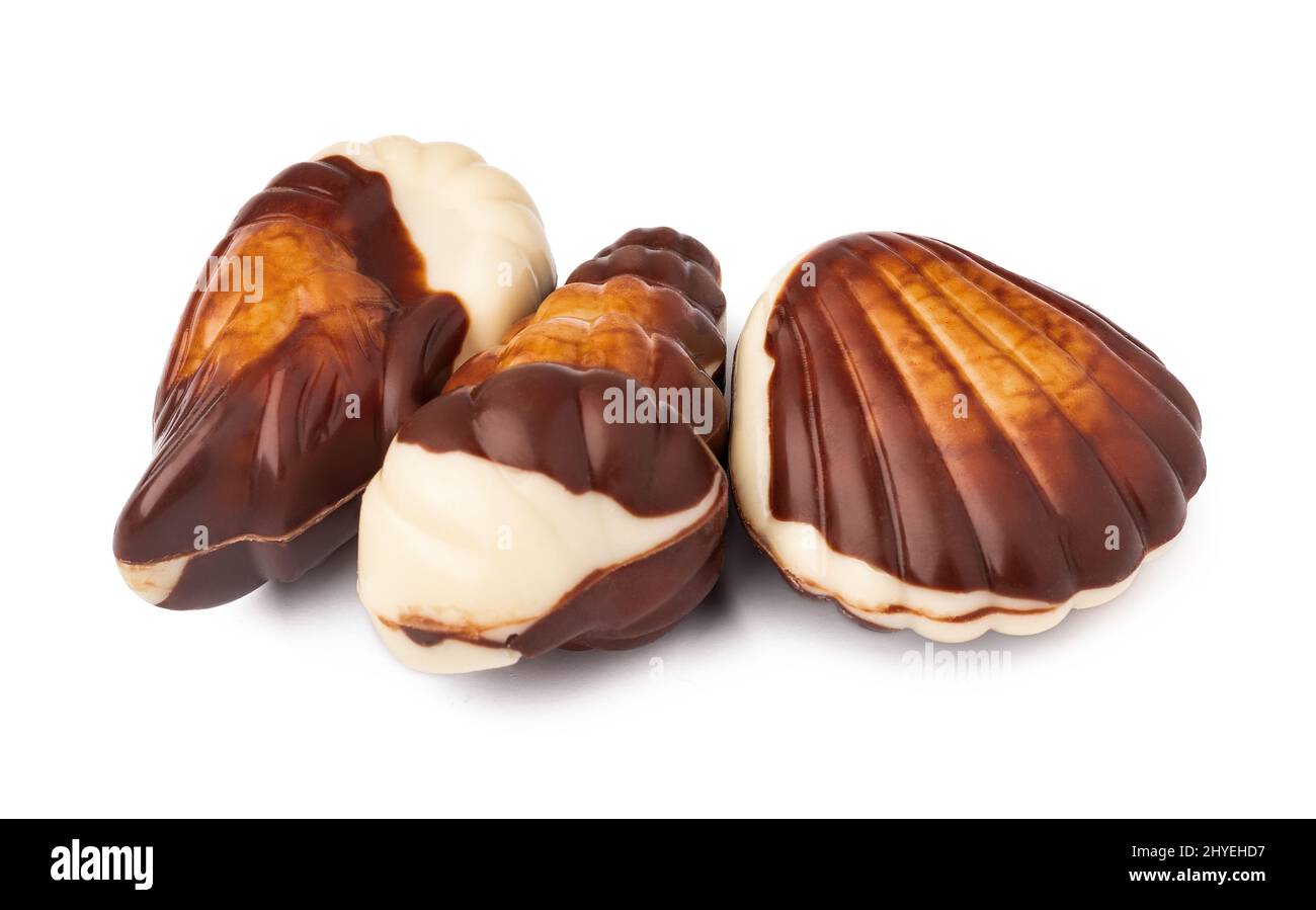 Chocolate sweets shaped as seashells isolated on white background Stock ...