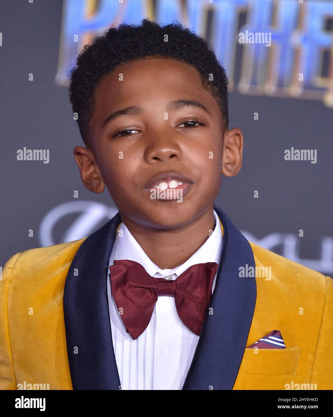 Seth Carr at the 'Black Panther' premiere held at the Dolby Theatre on ...