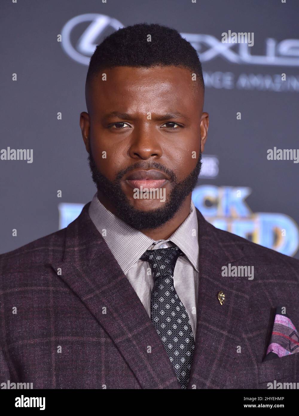 Winston Duke at the 'Black Panther' premiere held at the Dolby Theatre ...