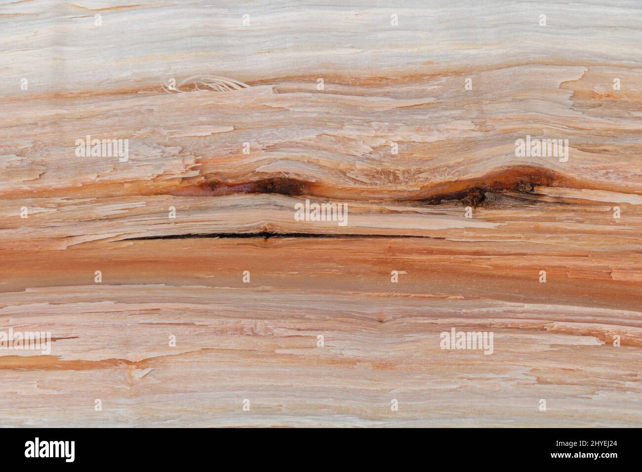 Closeup of split wood texture - perfect for background Stock Photo - Alamy
